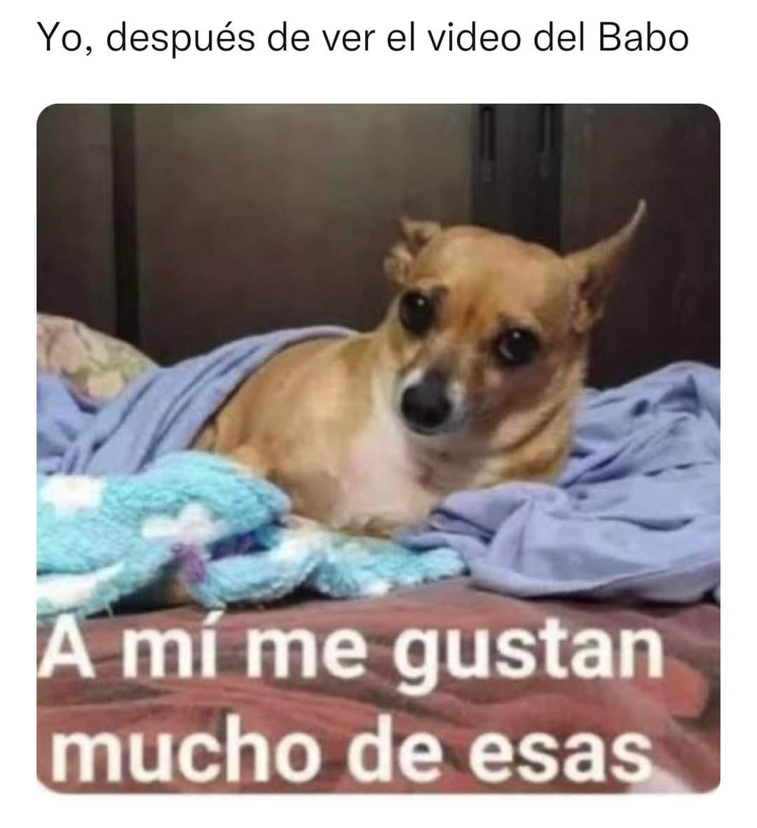 El Babo paraliza las redes con su nuevo video musical; fans se llevan ...