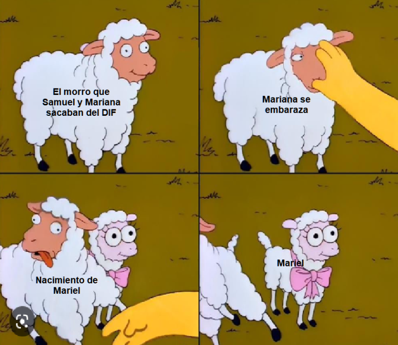 Internet le dio la bienvenida a la hija de Samuel García y Mariana ...